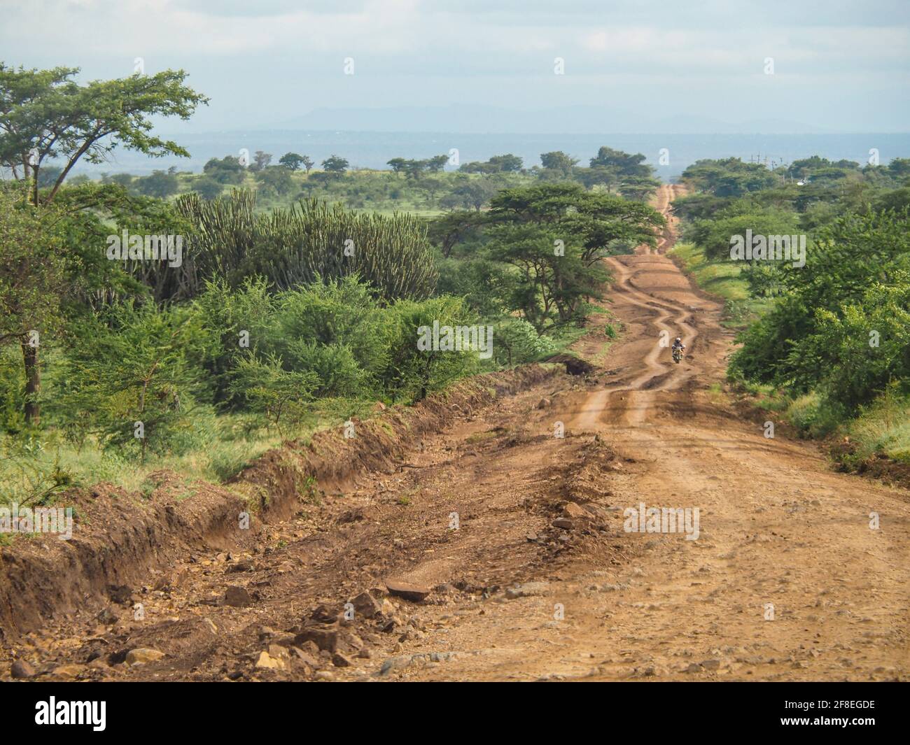 Dusty africa plain hi-res stock photography and images - Alamy