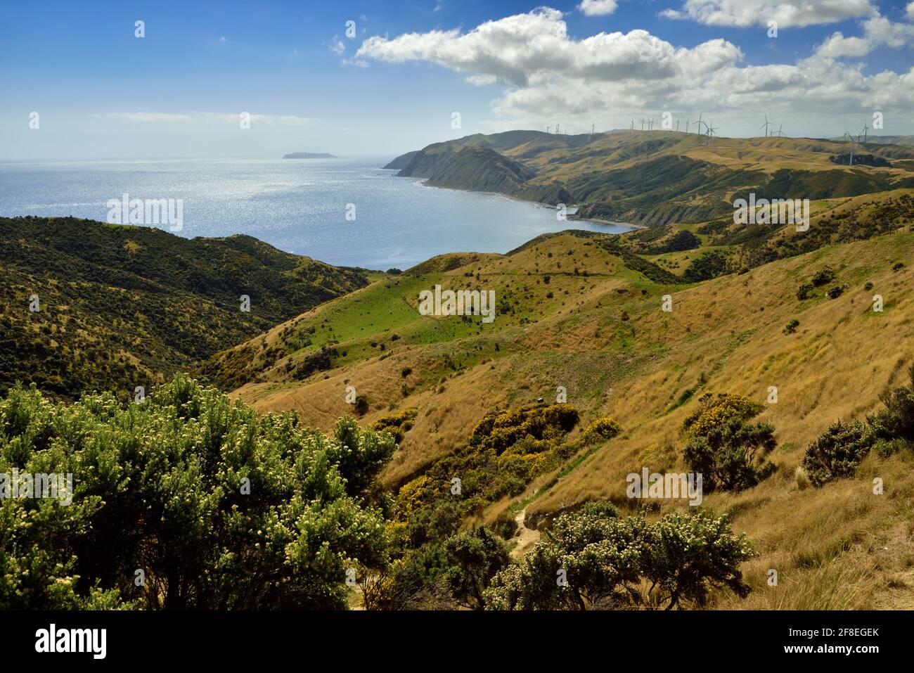 West Wind uses one of Wellington’s most renowned natural resources ...