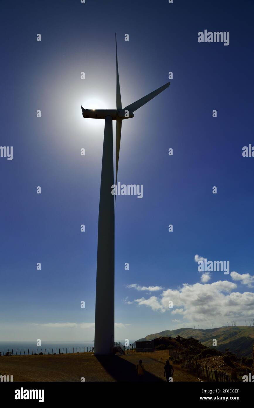 The wind farm’s 62 wind turbines can generate up to 142.6 megawatts of ...