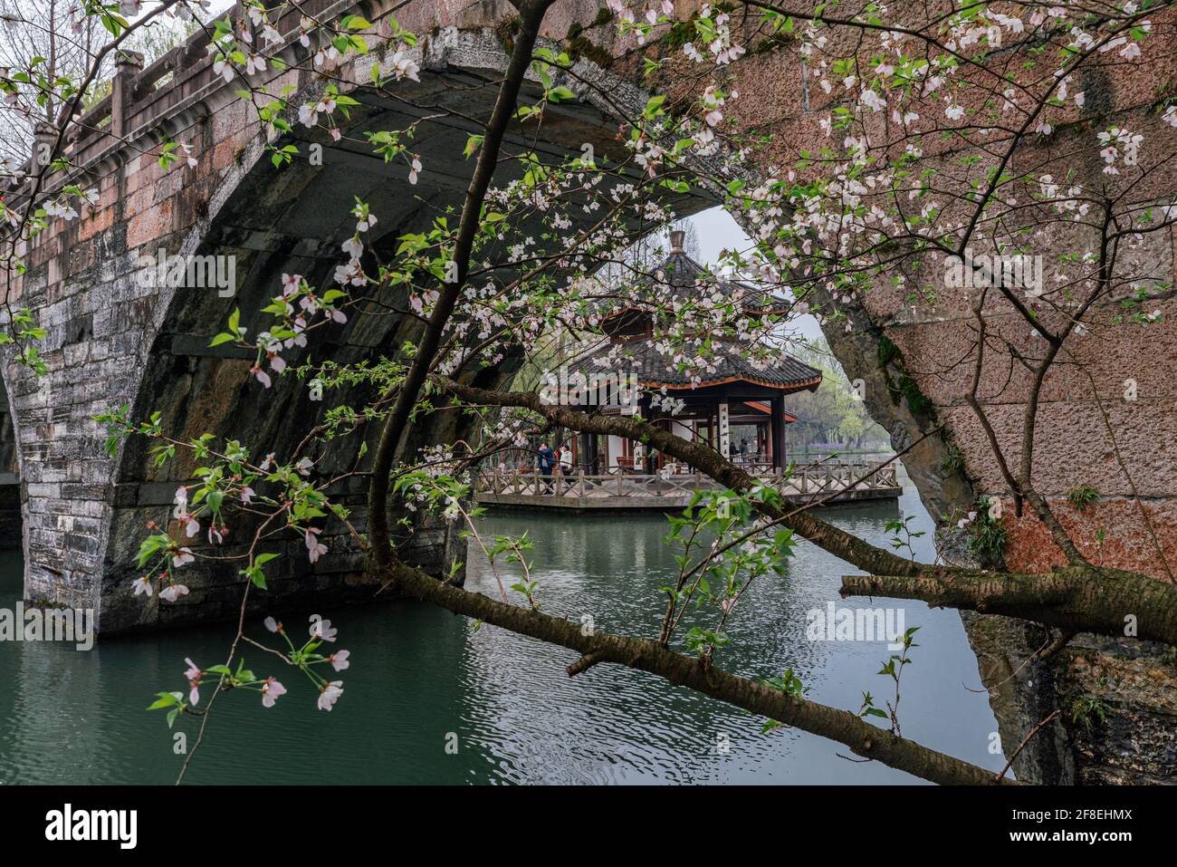 Spring cherry blossom scenery at Hangzhou West Lake under the sunlight ...