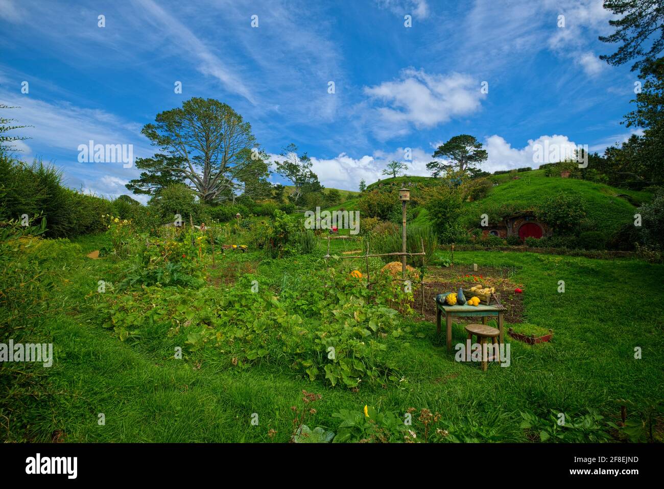 In the heart of Hamilton & Waikato’s countryside, quietly hidden behind ...