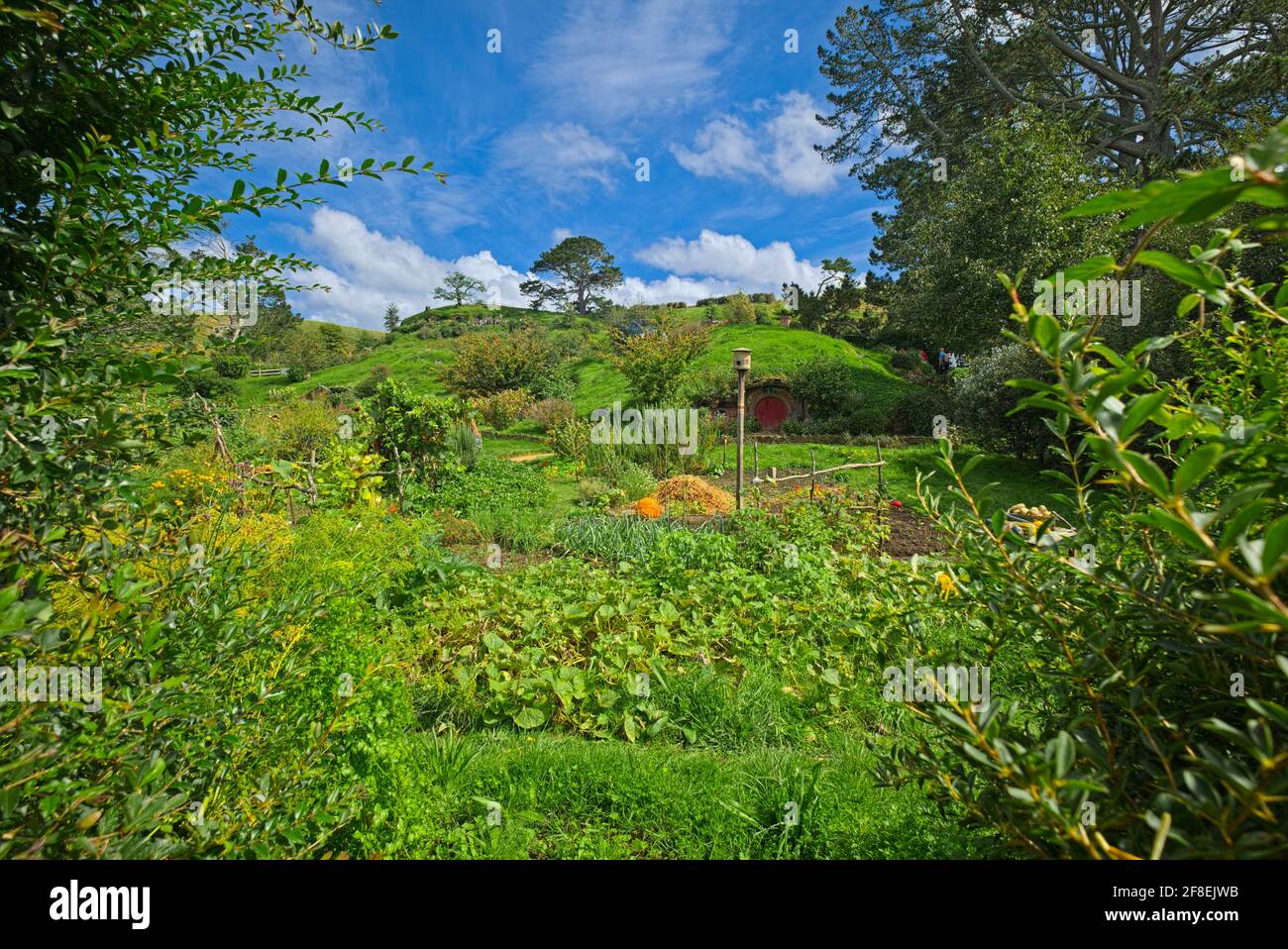 In the heart of Hamilton & Waikato’s countryside, quietly hidden behind ...