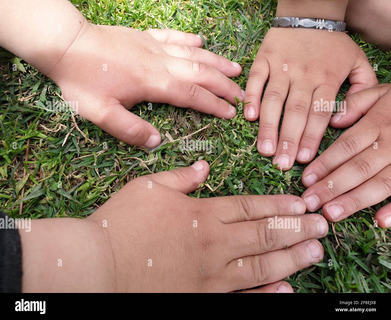 Children playing with teddy bear in a park. Body parts of Kids seems ...