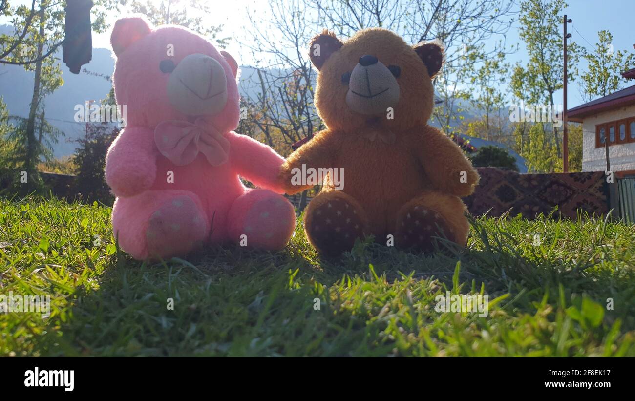 Children playing with teddy bear in a park. Body parts of Kids seems ...