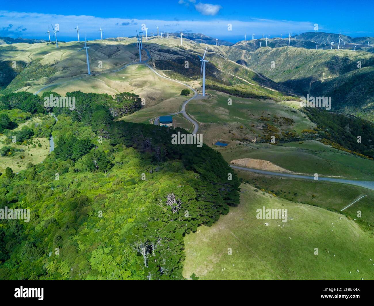 The wind farm’s 62 wind turbines can generate up to 142.6 megawatts of ...