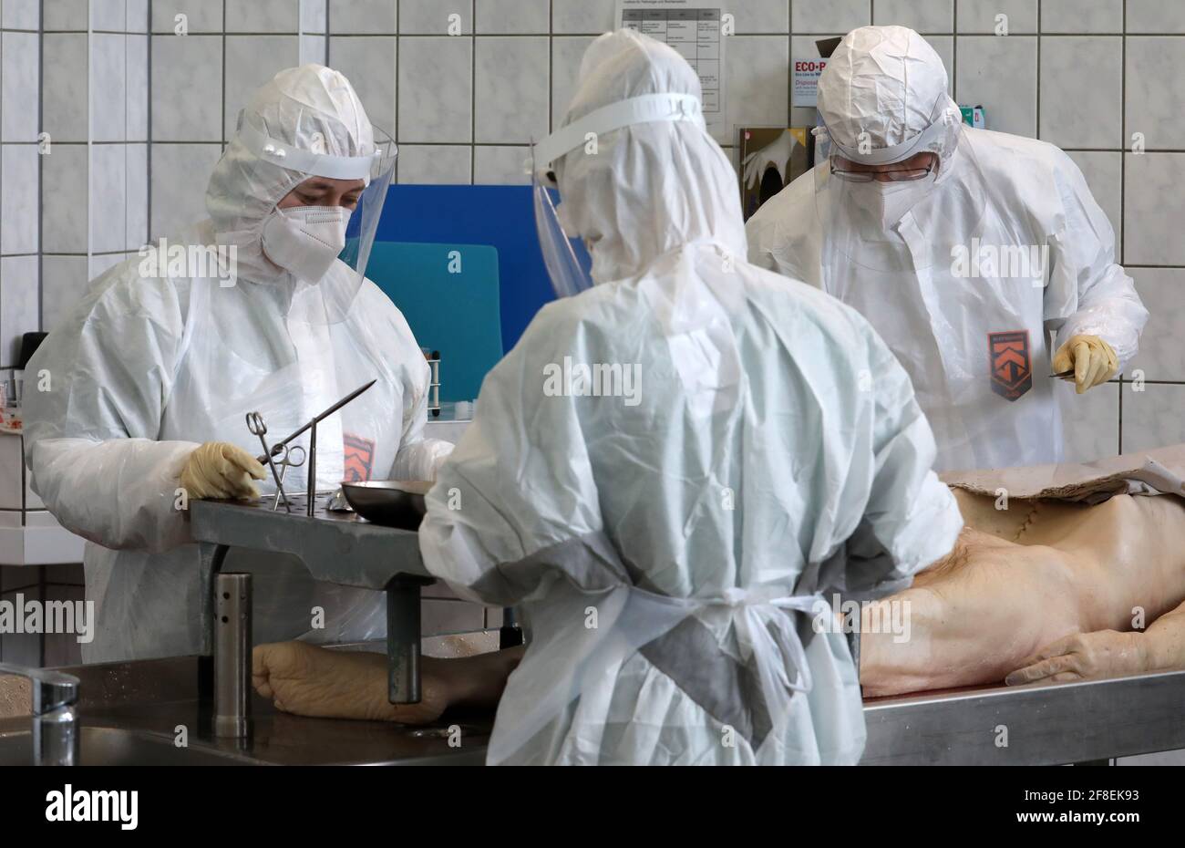 Forensic Pathology Essential Forensic Pathology By Gilbert Corrigan