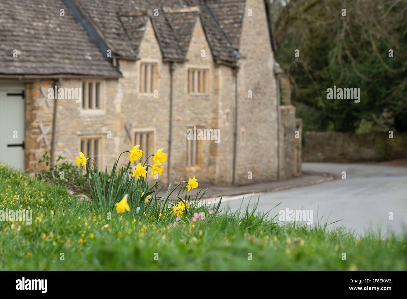 Spring daffodils in the cotswold village of Upper Slaughter. Cotswolds ...