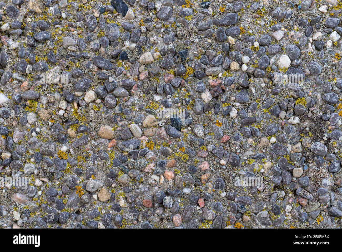 Concrete with small stones hi-res stock photography and images - Alamy