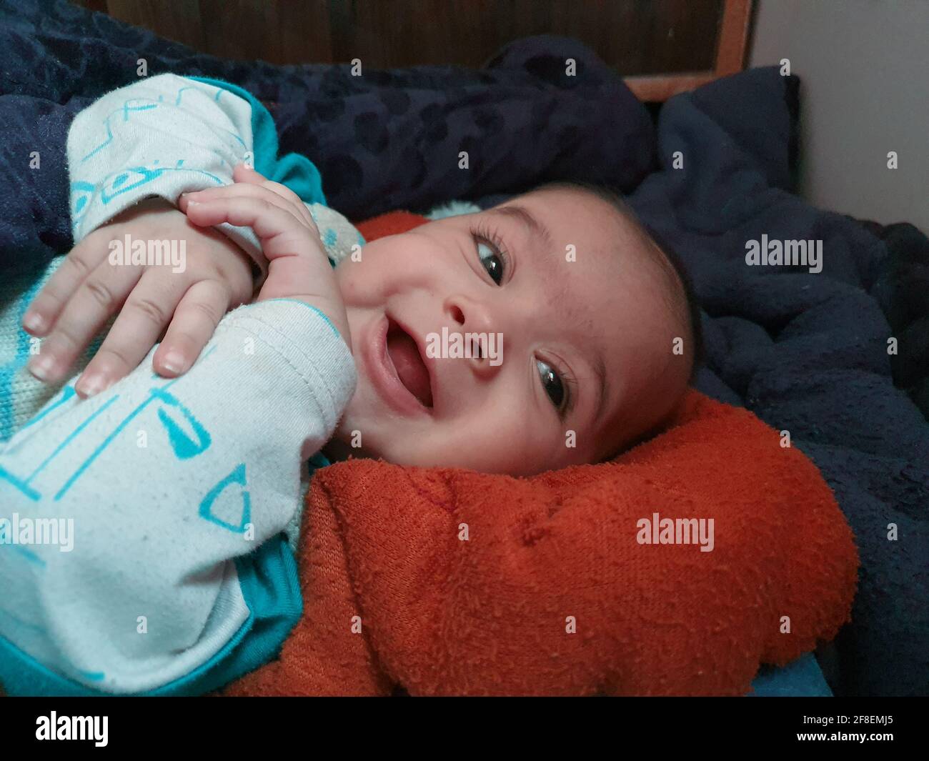 Beautiful kid different poses looks very handsome. Small child after ...