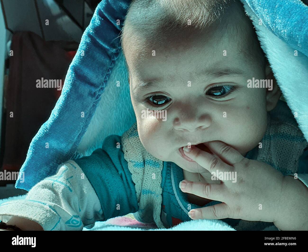 Beautiful kid different poses looks very handsome. Small child after ...