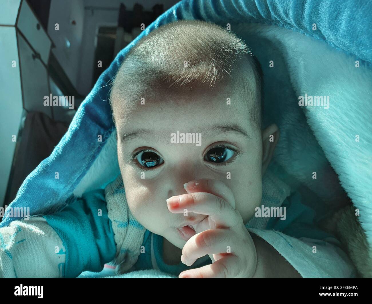 Beautiful kid different poses looks very handsome. Small child after ...