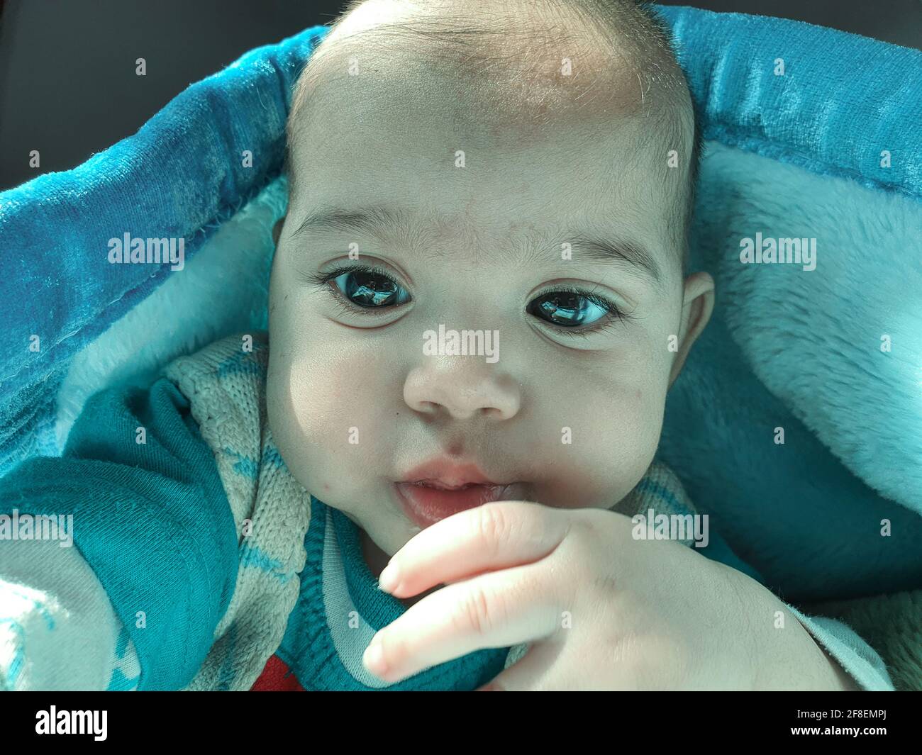 Beautiful kid different poses looks very handsome. Small child after ...