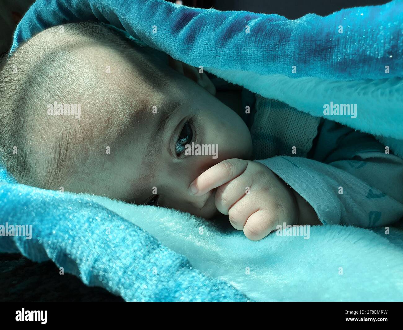 Beautiful kid different poses looks very handsome. Small child after ...