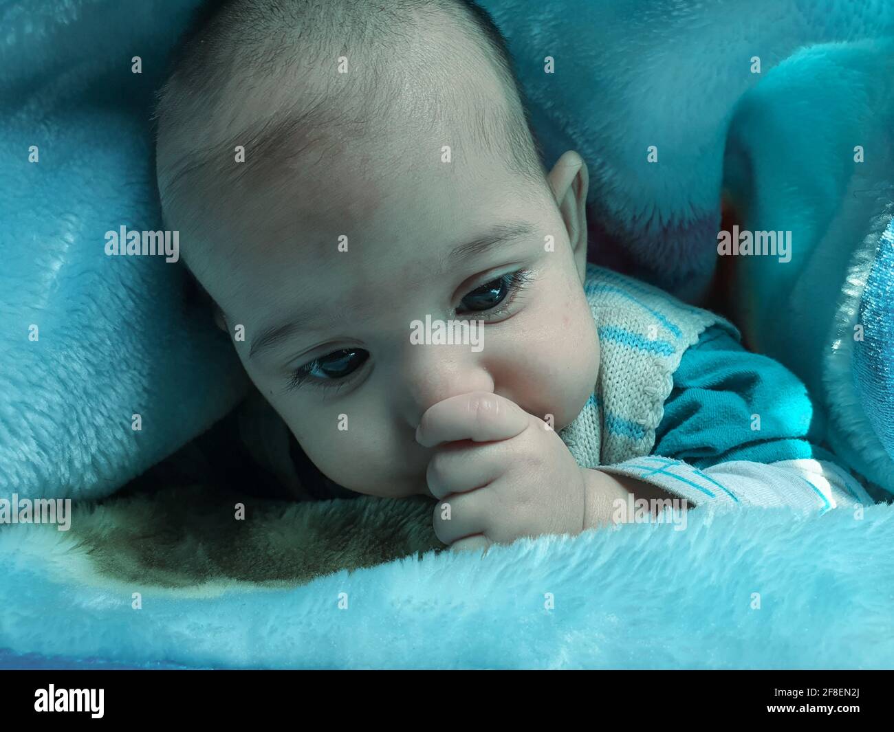 Beautiful kid different poses looks very handsome. Small child after ...
