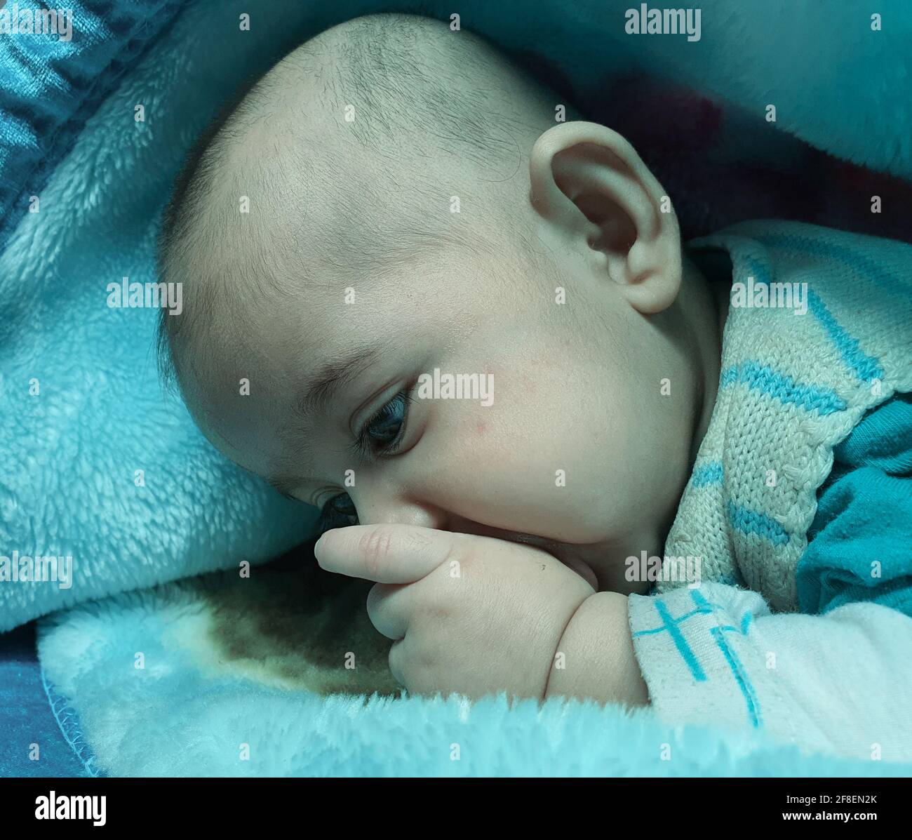 Beautiful kid different poses looks very handsome. Small child after ...