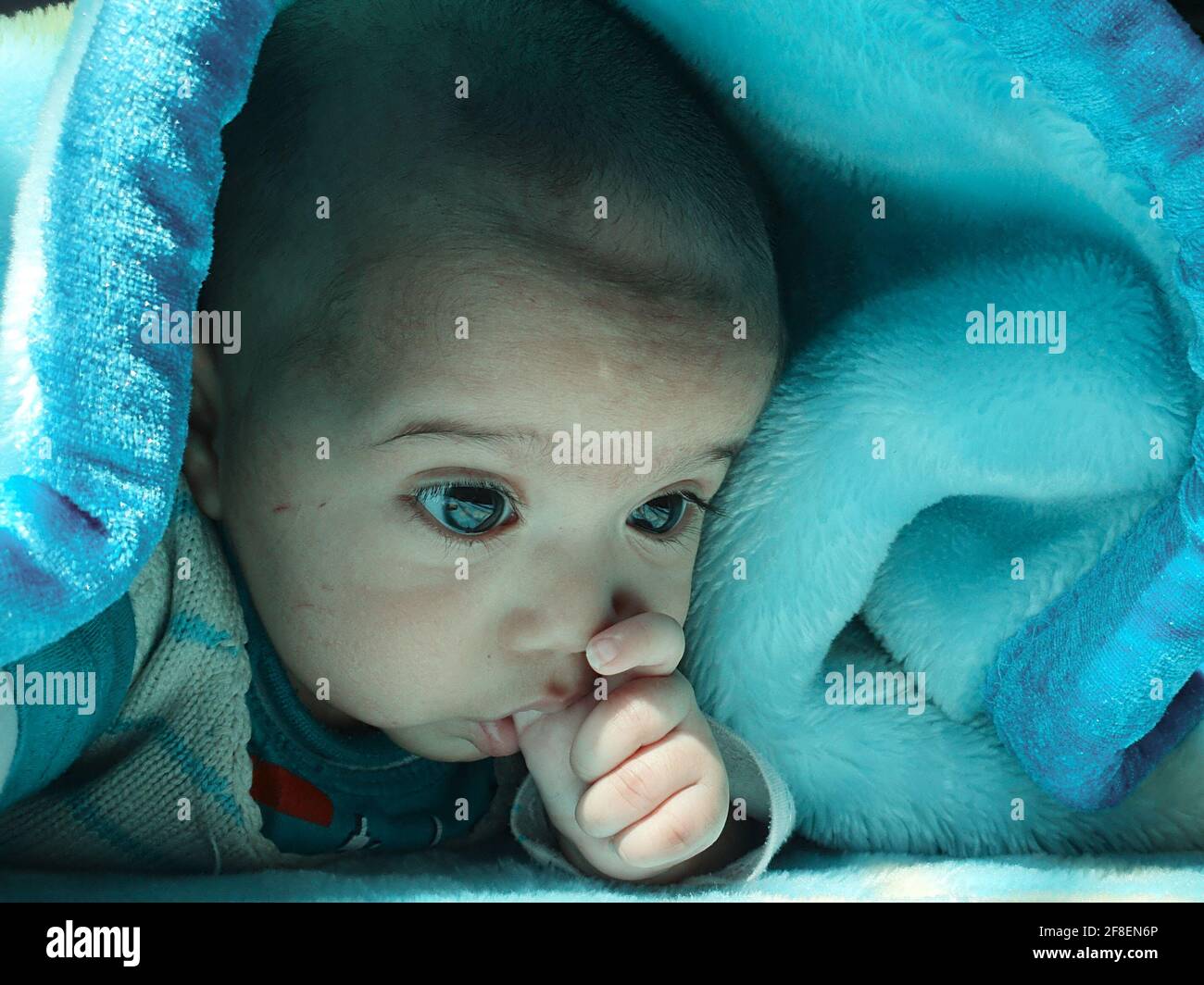 Beautiful kid different poses looks very handsome. Small child after ...