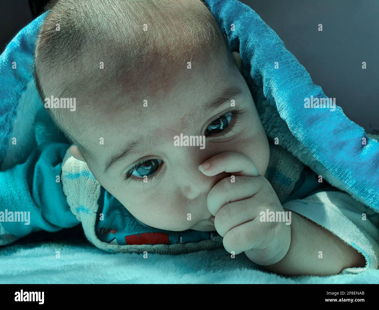 Beautiful kid different poses looks very handsome. Small child after ...
