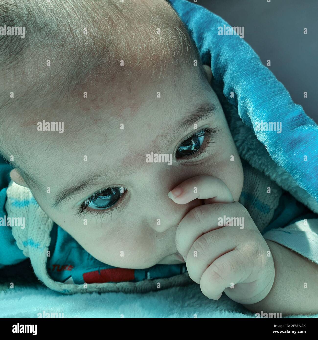 Beautiful kid different poses looks very handsome. Small child after ...