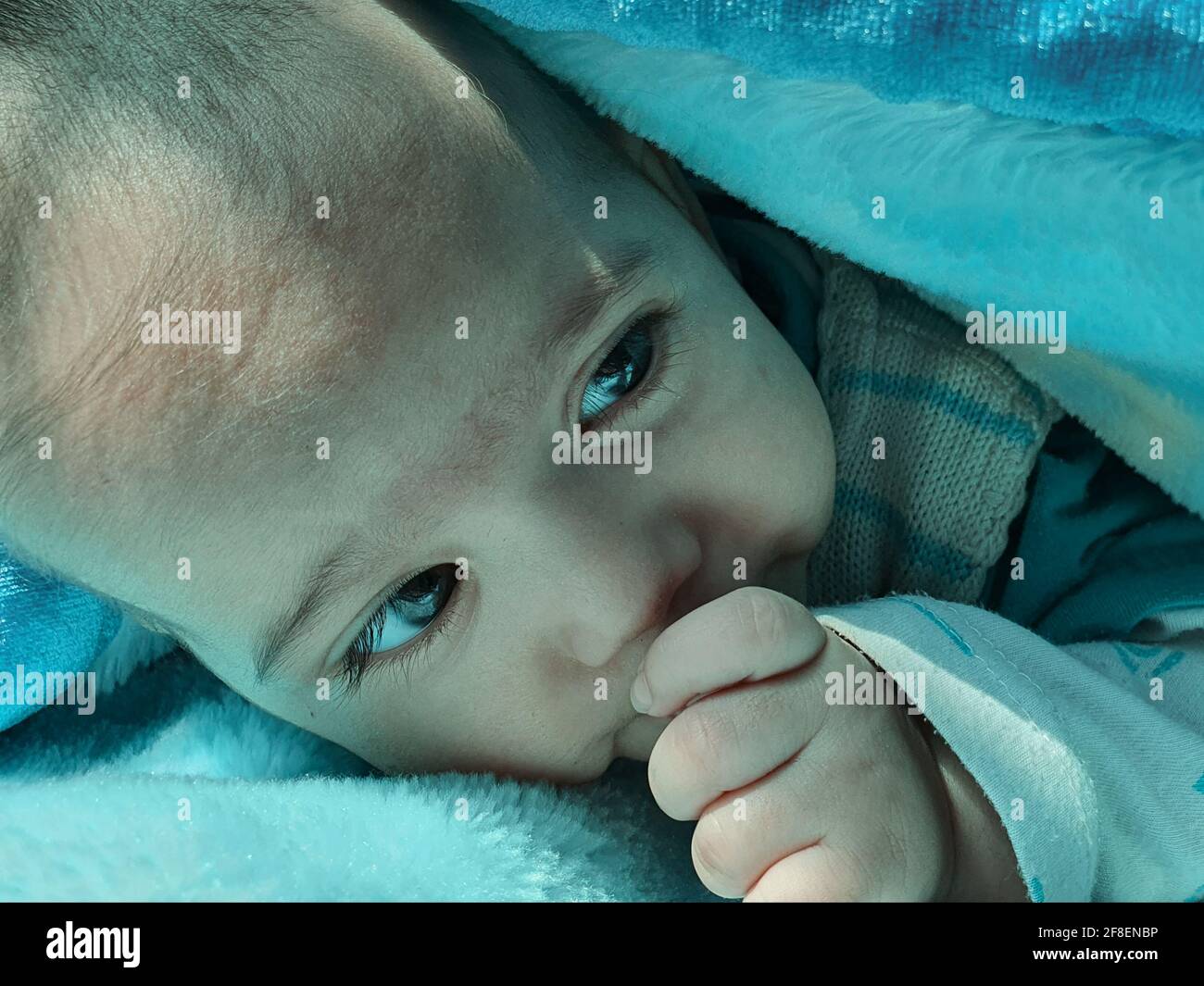 Beautiful kid different poses looks very handsome. Small child after ...