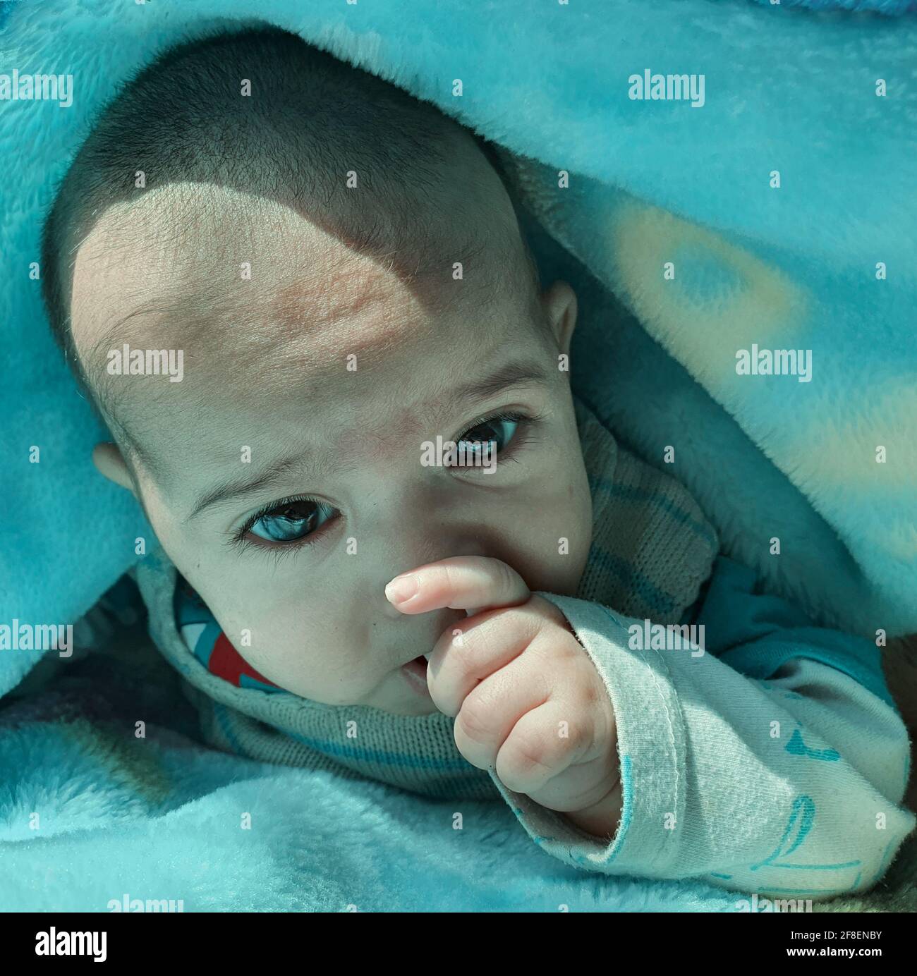 Beautiful kid different poses looks very handsome. Small child after ...