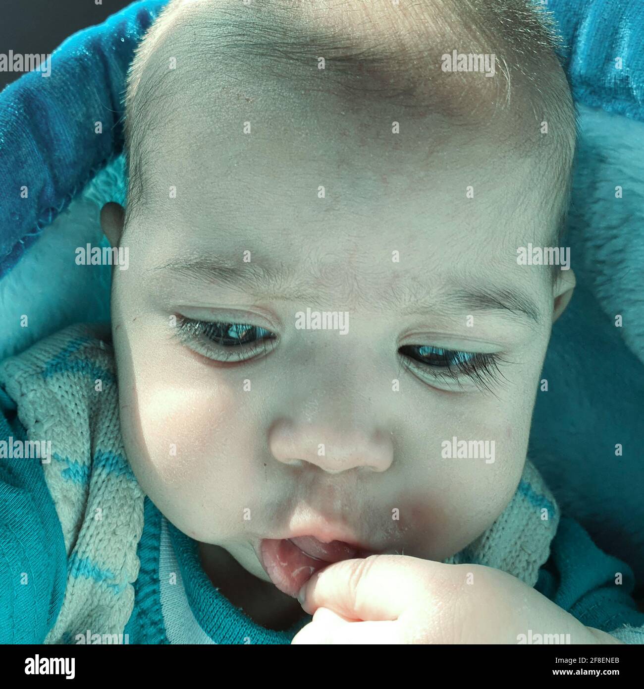 Beautiful kid different poses looks very handsome. Small child after ...