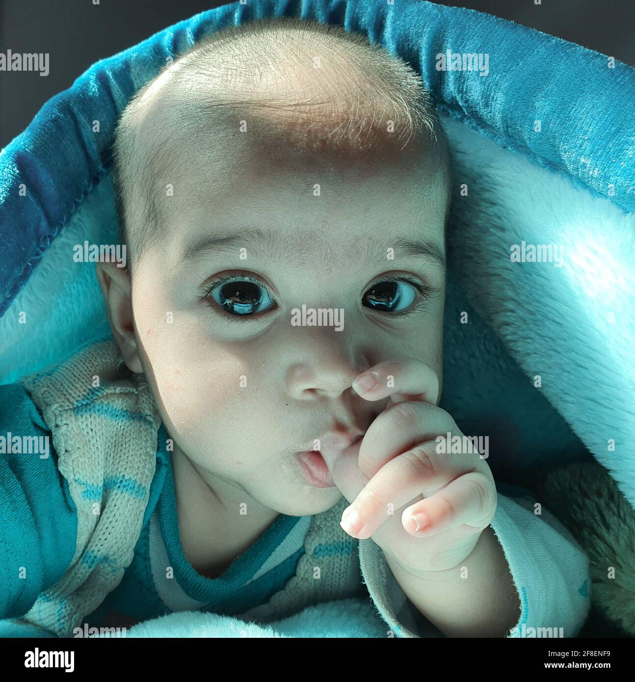 Beautiful kid different poses looks very handsome. Small child after ...