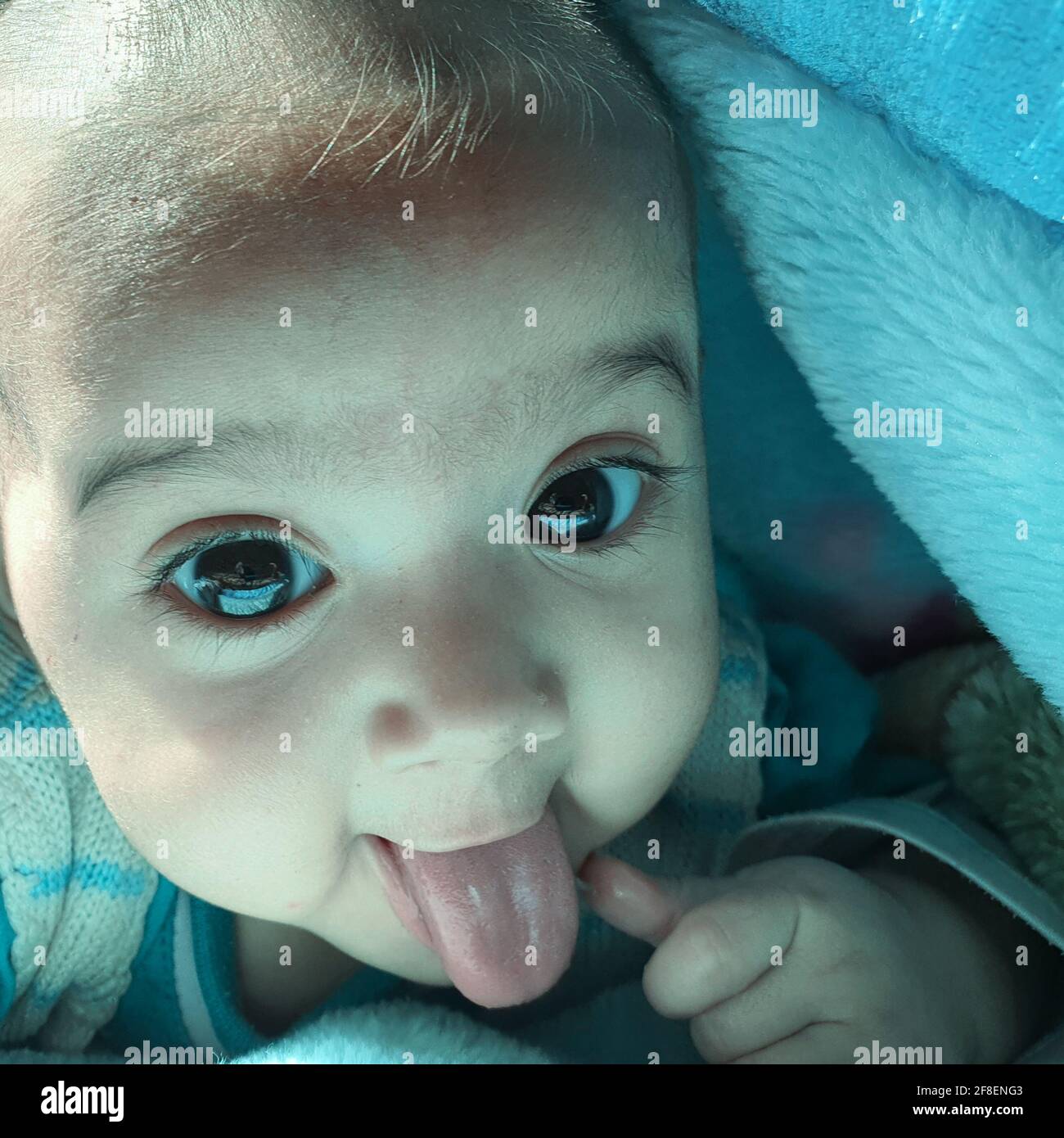 Beautiful kid different poses looks very handsome. Small child after ...