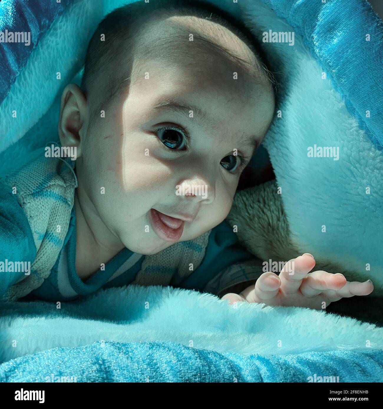 Beautiful kid different poses looks very handsome. Small child after ...