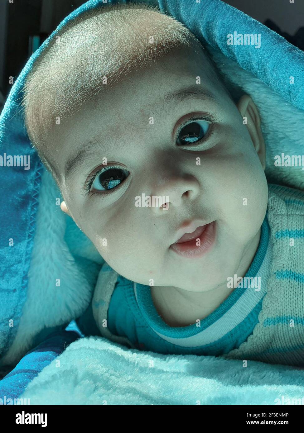 Beautiful kid different poses looks very handsome. Small child after ...