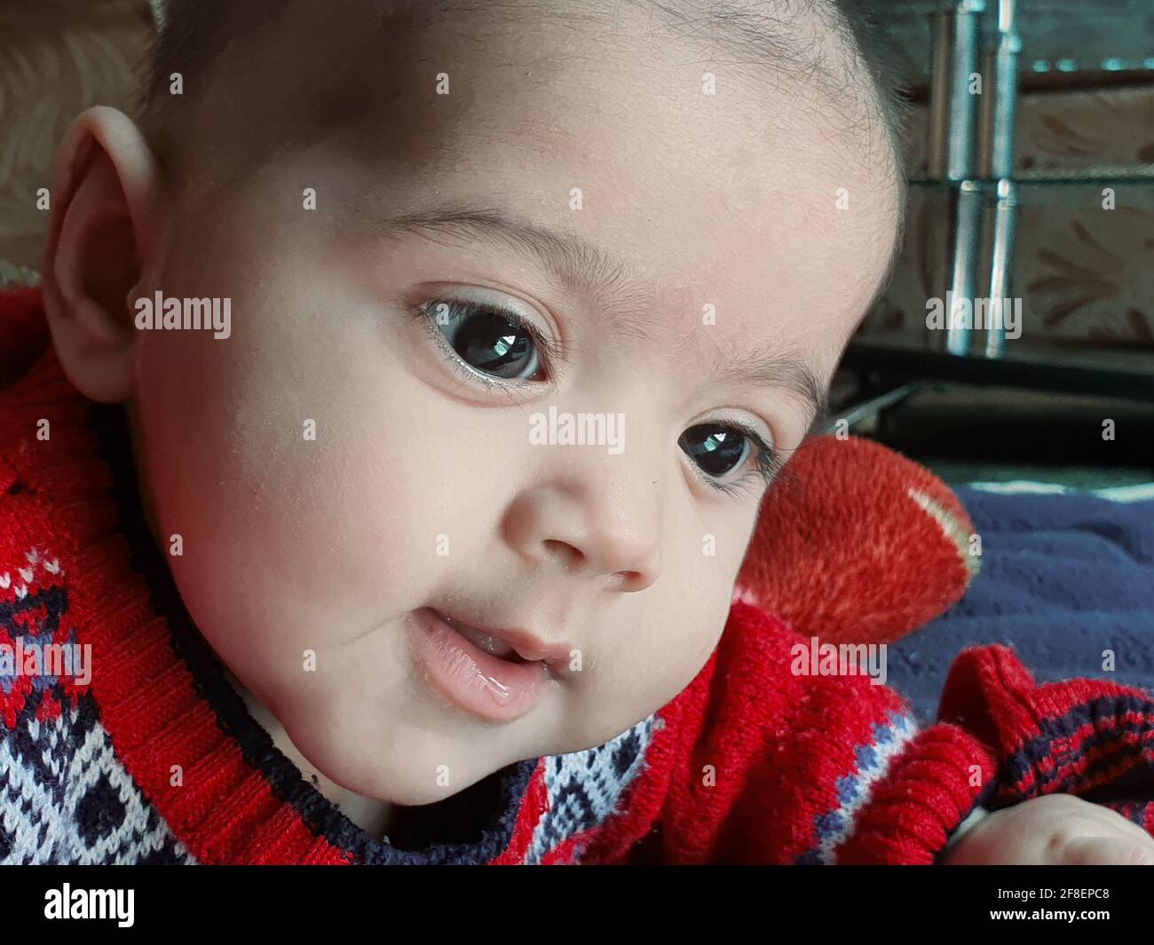 Beautiful kid different poses looks very handsome. Small child after ...