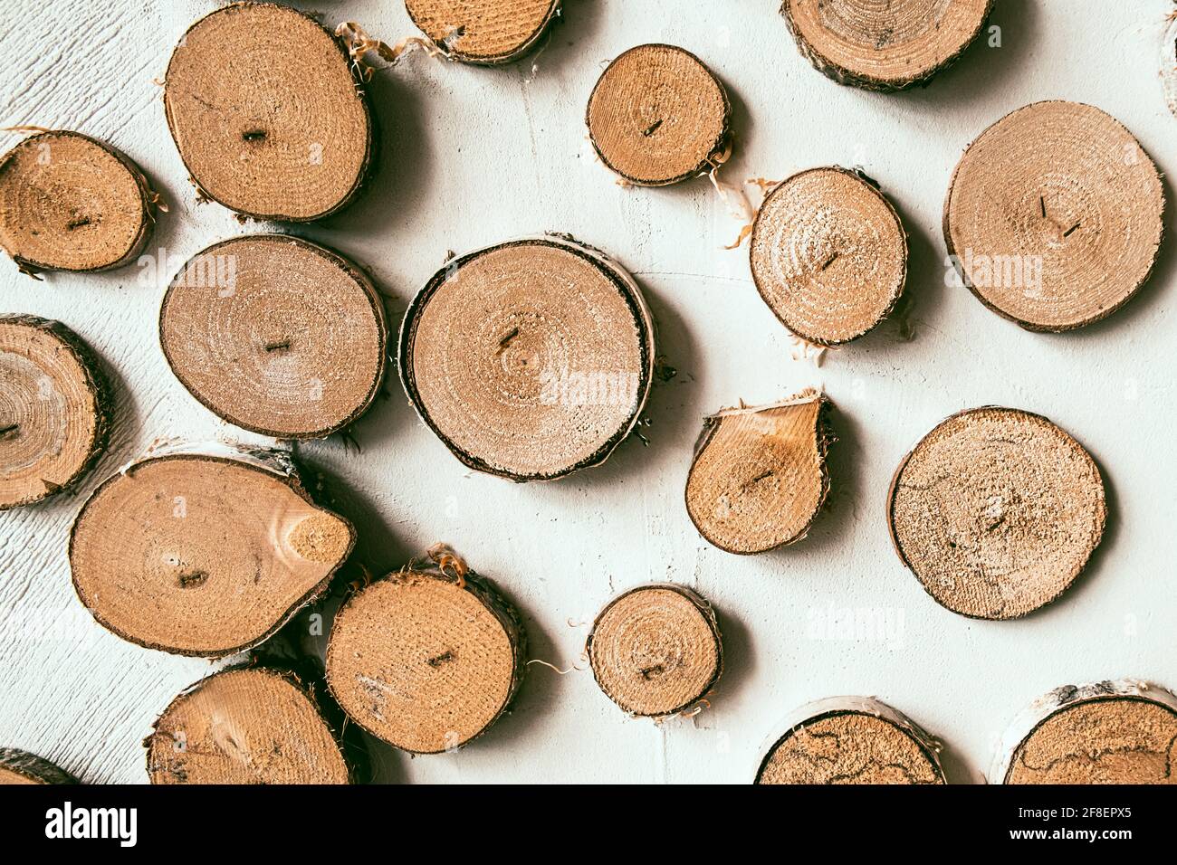 Cross section of tree trunks background. Wood texture, round wooden ...
