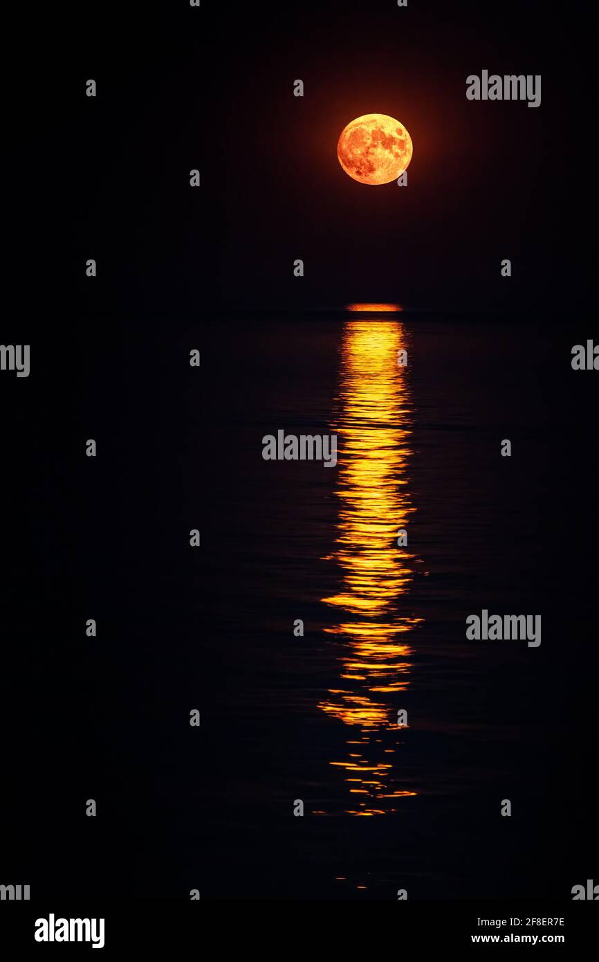 Super full blood moon and moon light over the sea. Full red moon with ...