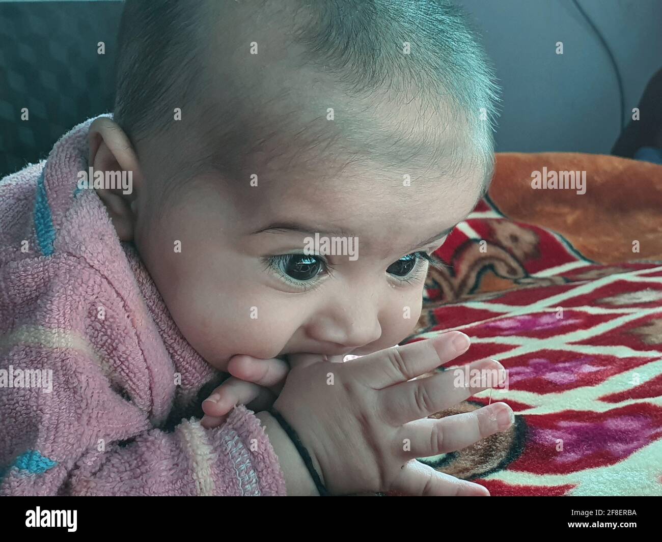 Beautiful kid different poses looks very handsome. Small child after ...