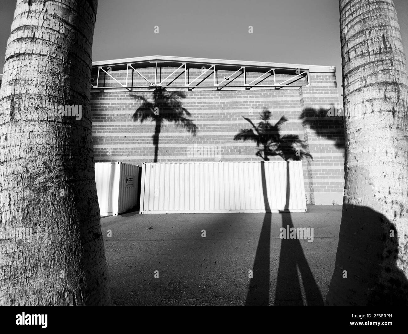 Palm Tree Shadows cast on building Stock Photo - Alamy