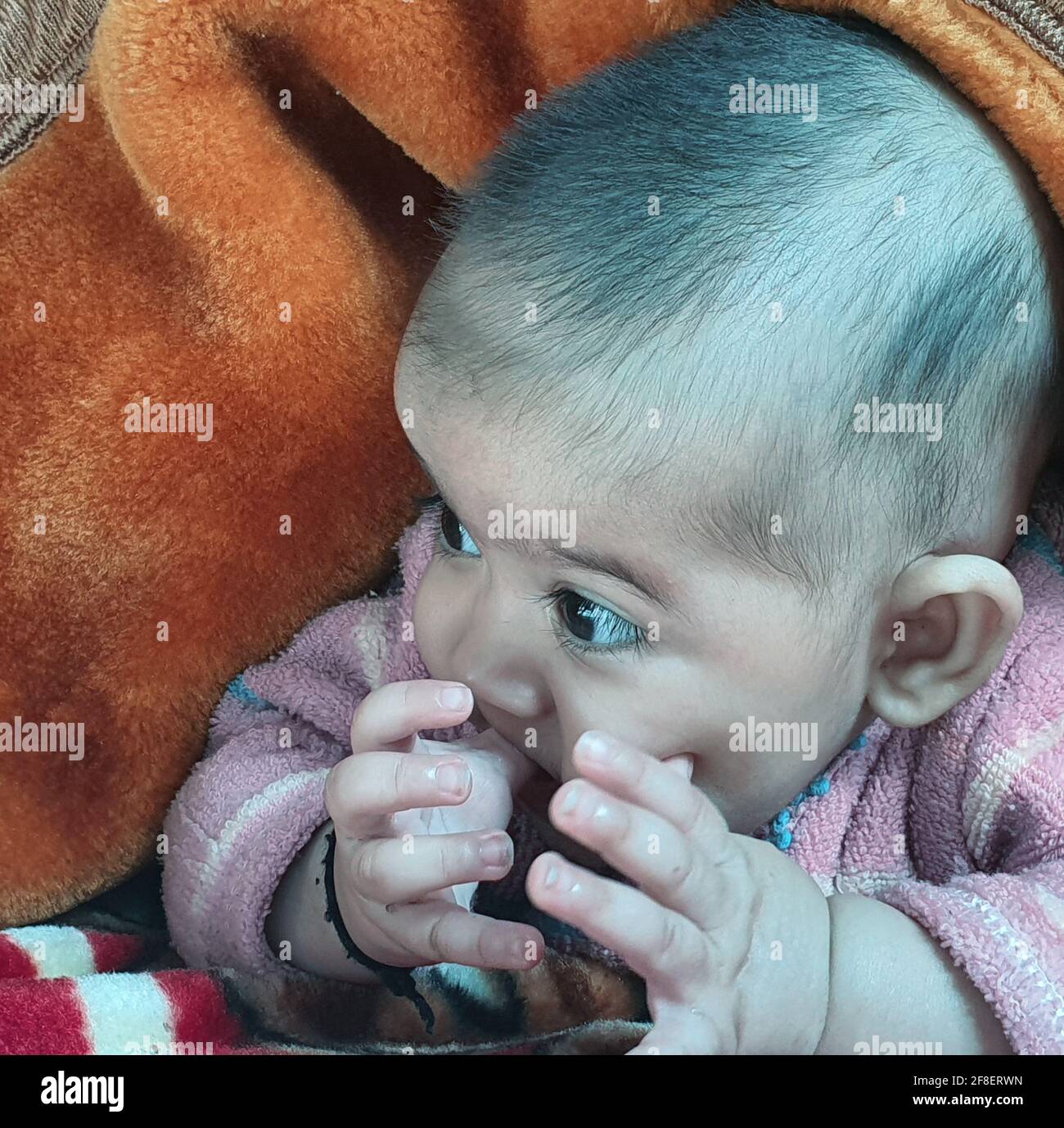 Beautiful kid different poses looks very handsome. Small child after ...