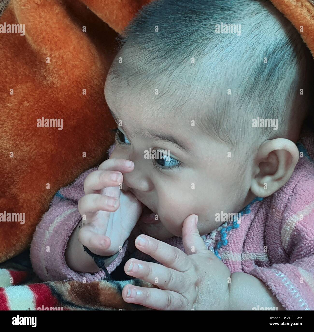 Beautiful kid different poses looks very handsome. Small child after ...