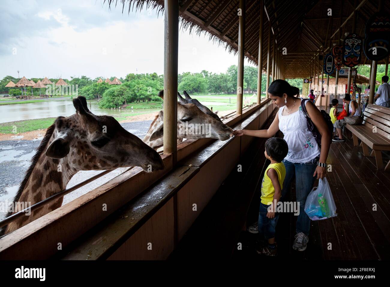 Safari World Bangkok Entrance