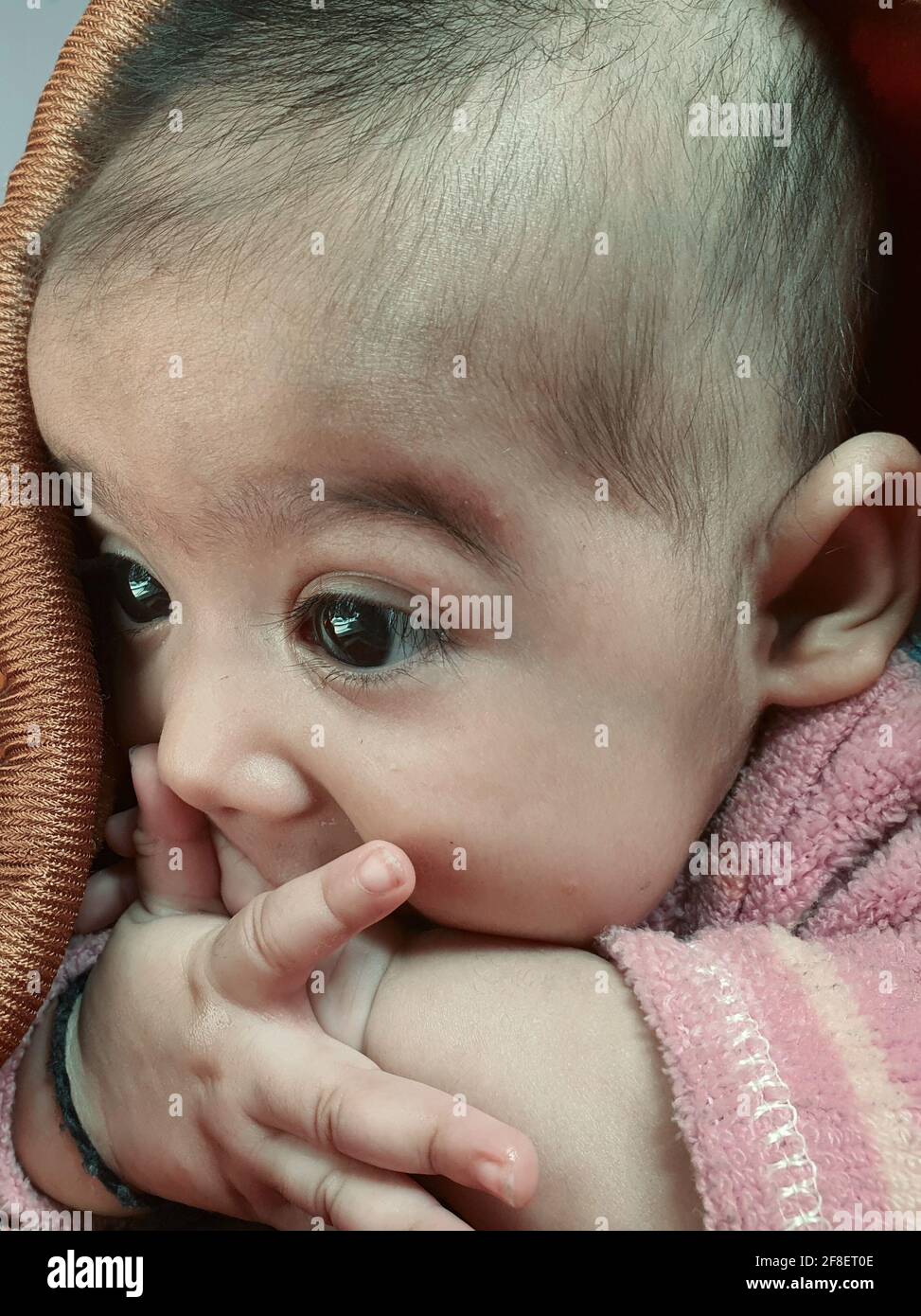 Beautiful kid different poses looks very handsome. Small child after ...