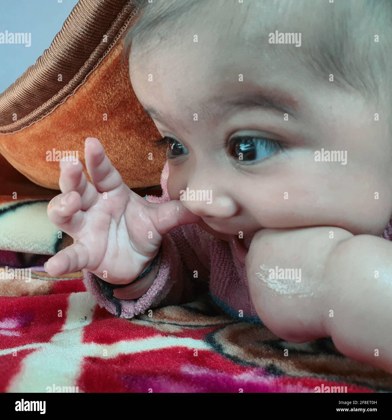 Beautiful kid different poses looks very handsome. Small child after ...