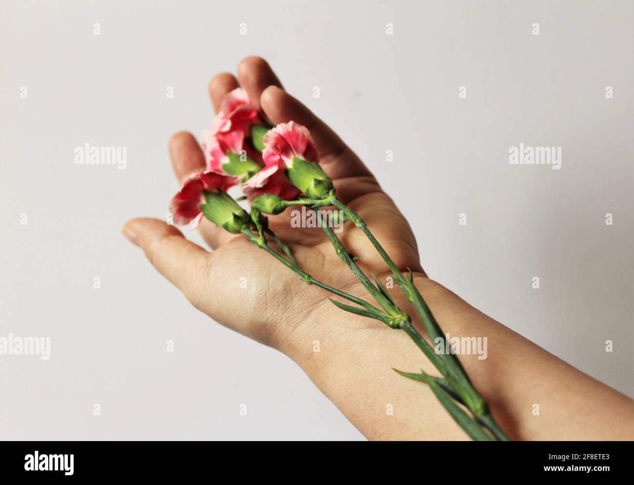 Hands with flowers hi-res stock photography and images - Alamy