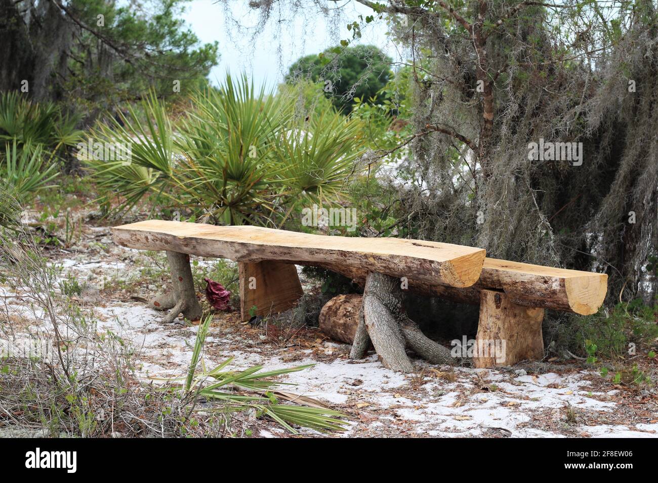 Crafty work of a hand made bench from an oak tree with tree stumps in a ...