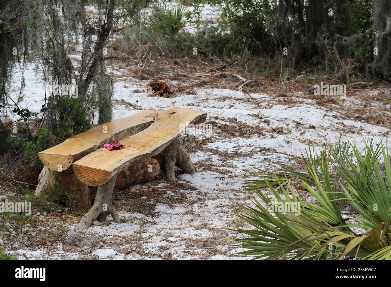 Crafty work of a hand made bench from an oak tree with tree stumps in a ...