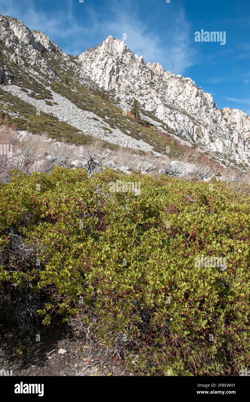 The North Fork Big Pine Creek hiking trail is a steep ascent to First ...