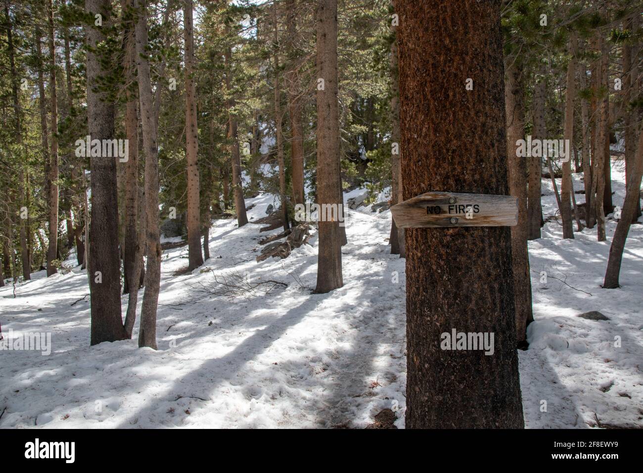 The North Fork Big Pine Creek hiking trail is a steep ascent to First ...