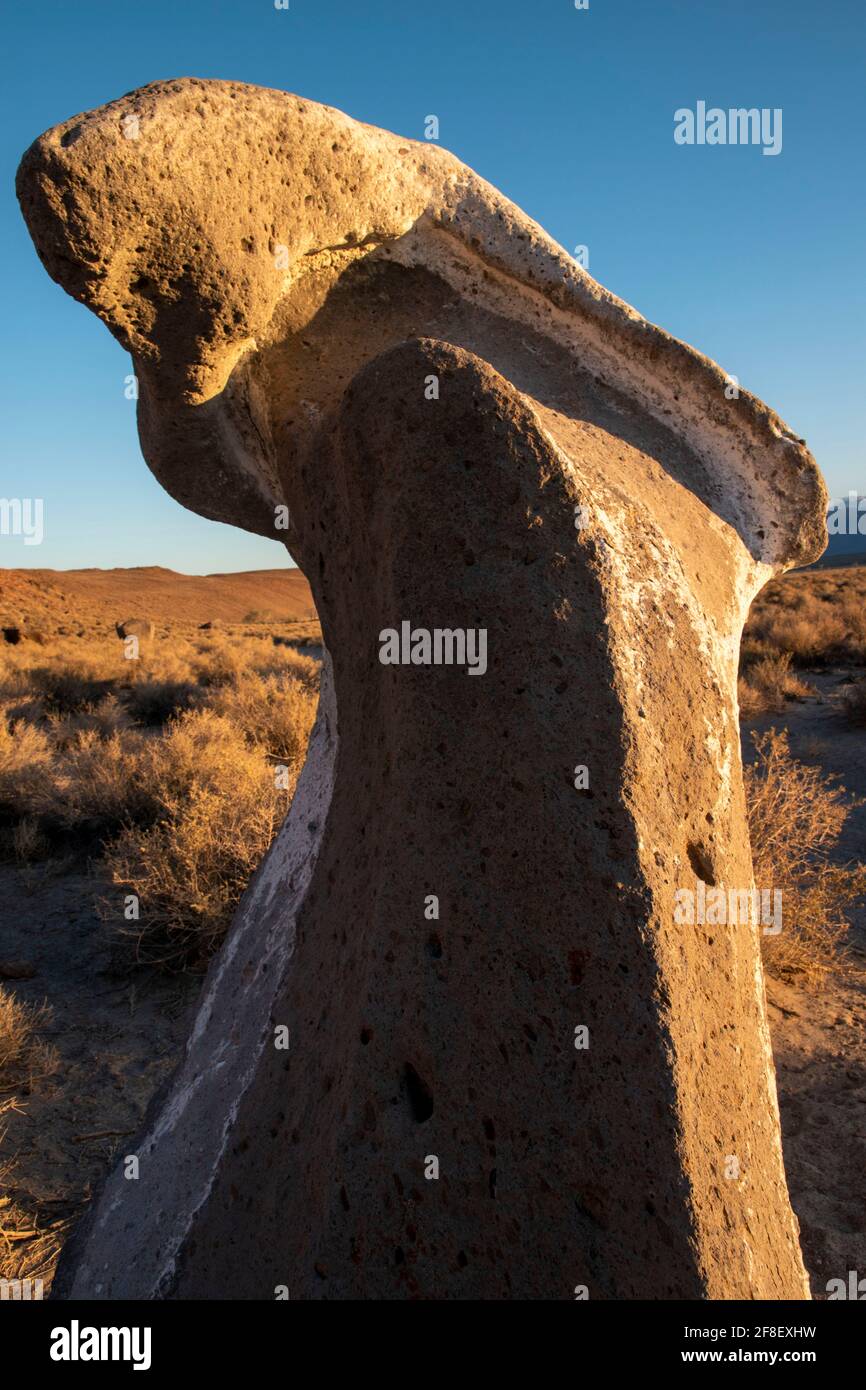 The Volcanic Tablelands in Inyo and Mono Counties are a haven for off ...