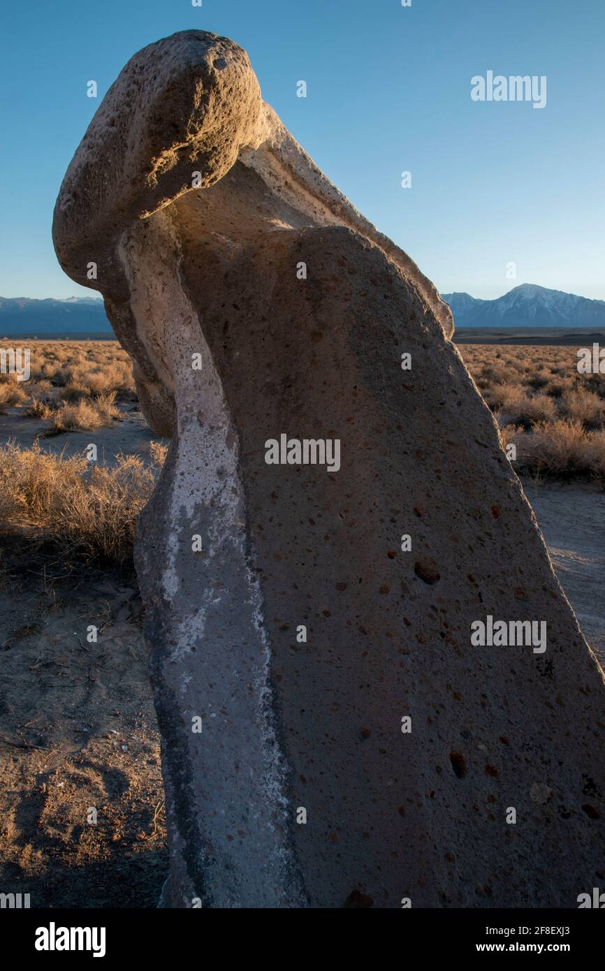 The Volcanic Tablelands in Inyo and Mono Counties are a haven for off ...