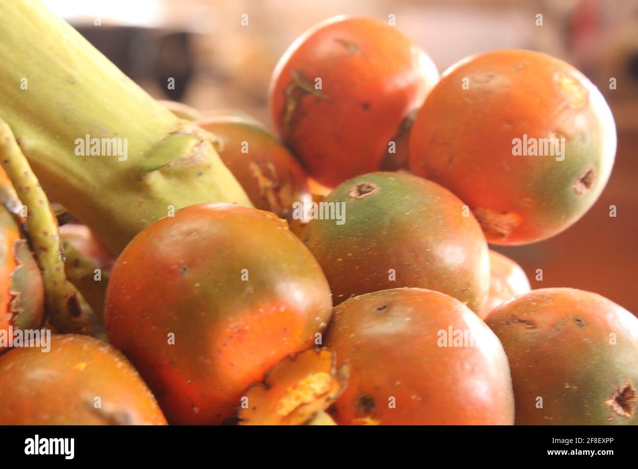 Peach palm bactris gasipaes fruits hi-res stock photography and images ...