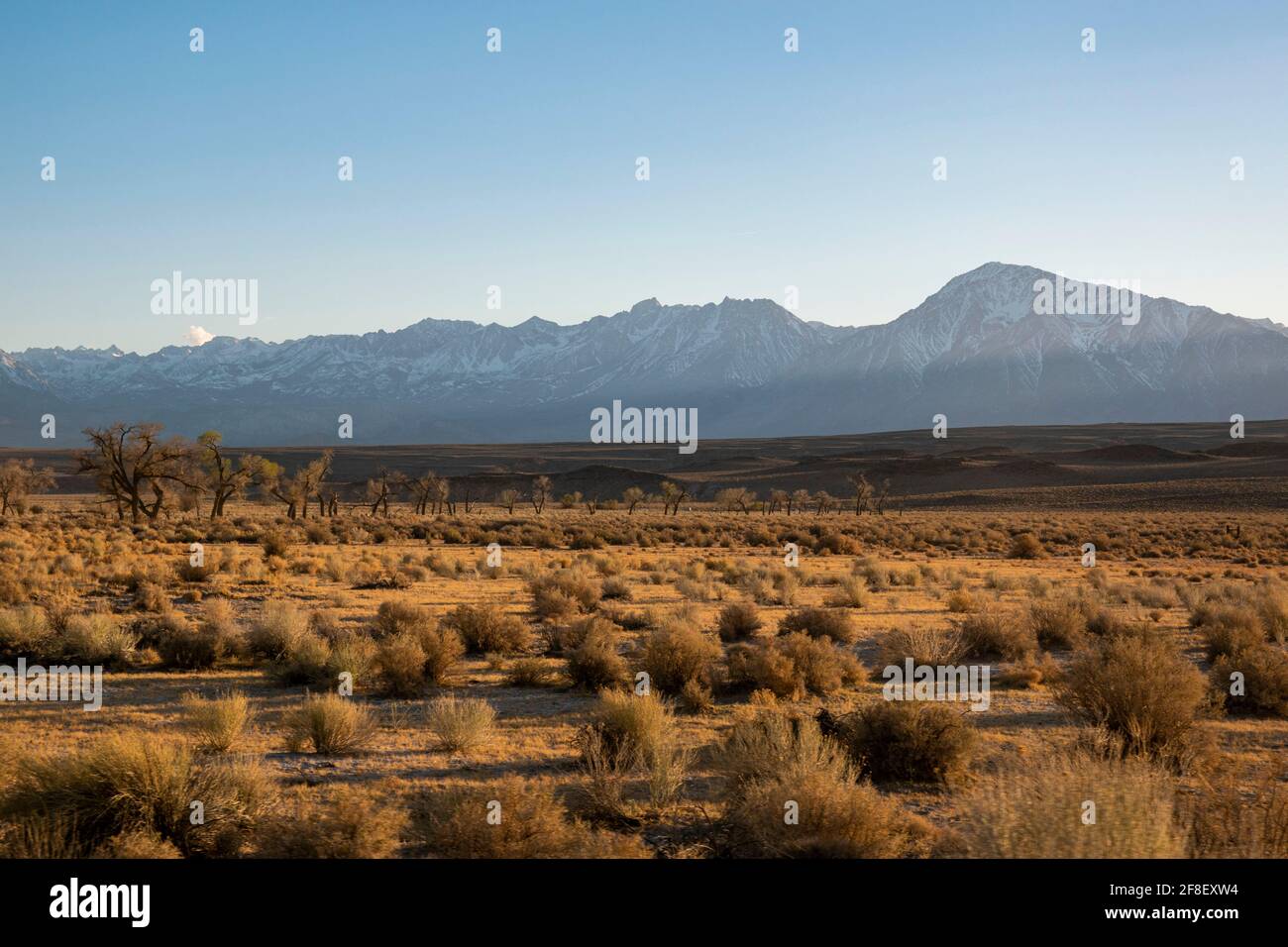 The Volcanic Tablelands in Inyo and Mono Counties are a haven for off ...