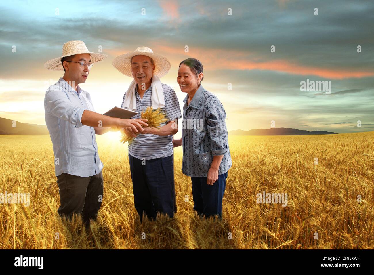 Communication technology researchers and farmers Stock Photo - Alamy