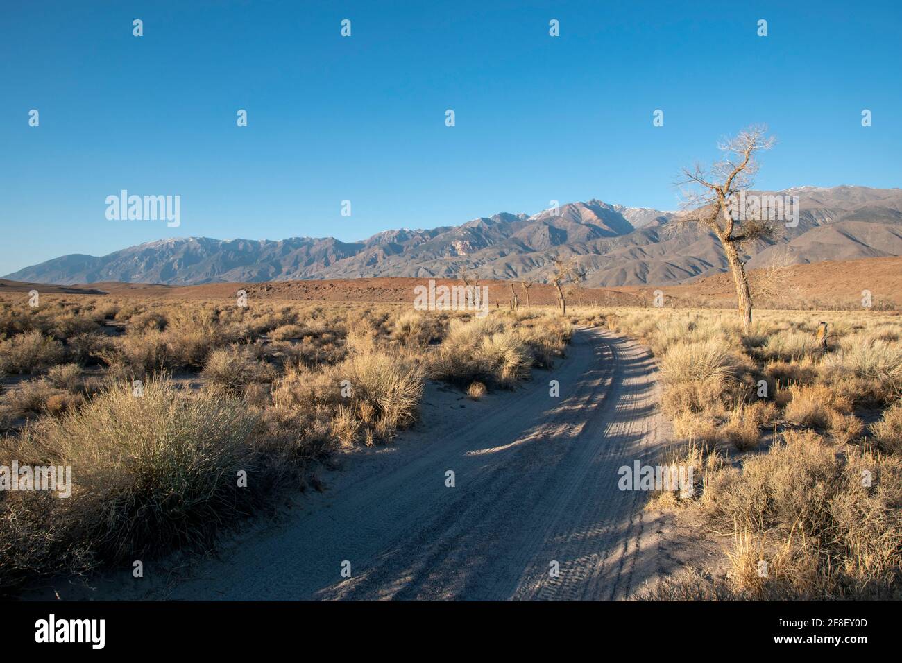 The Volcanic Tablelands in Inyo and Mono Counties are a haven for off ...